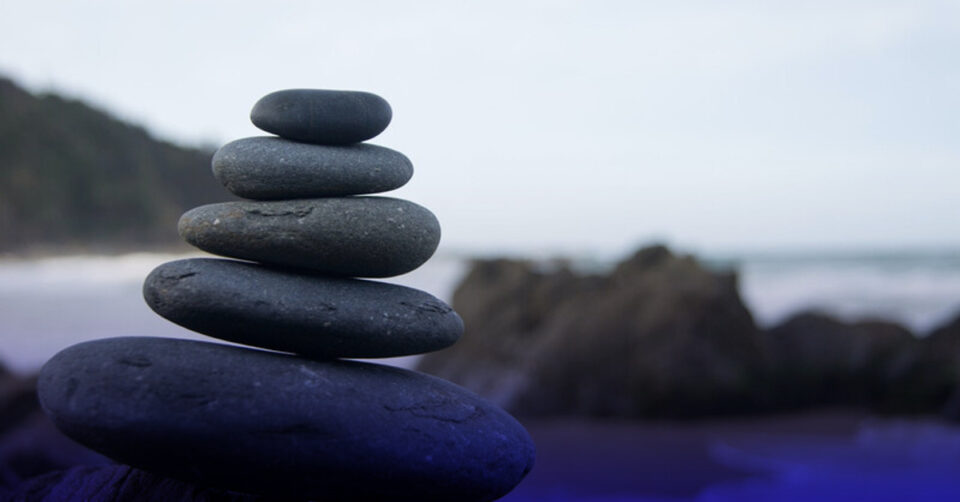 Zelis CEO Blog - From the desk of Amanda Eisel